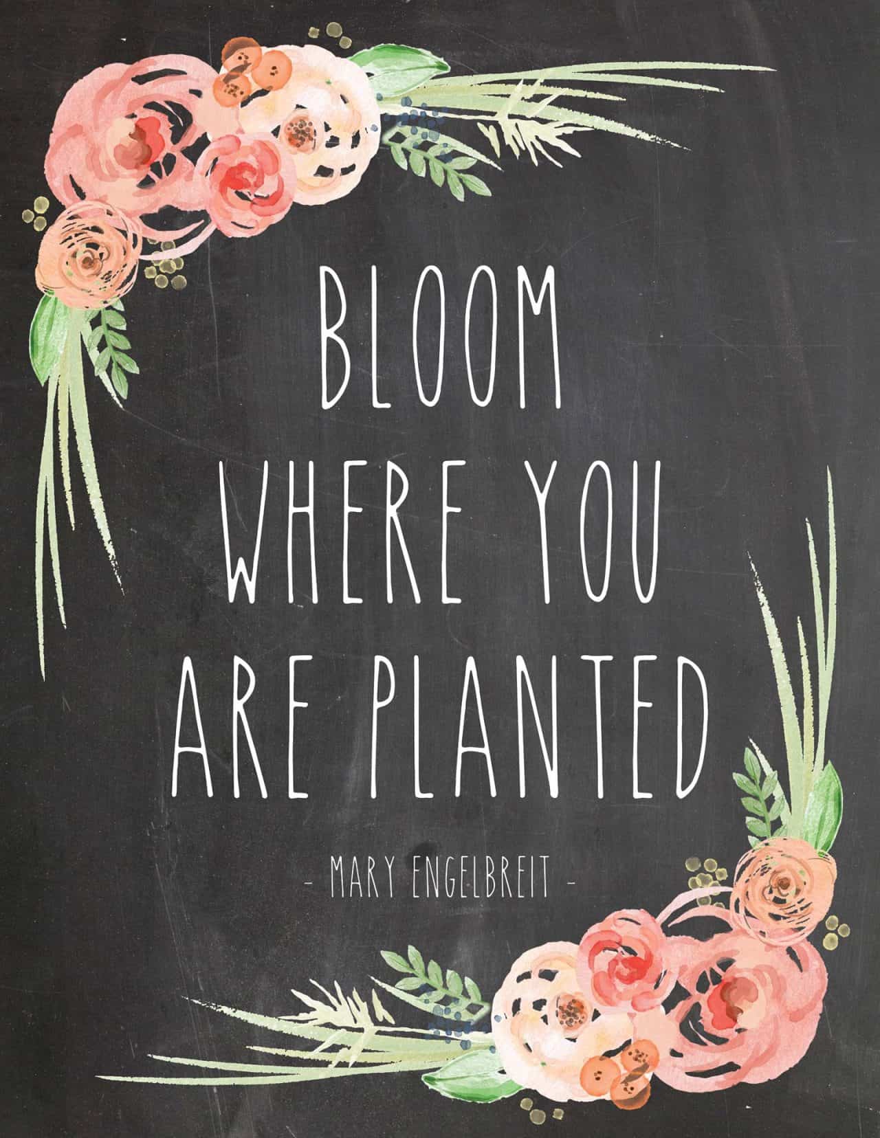 The Ultimate Guide to Printable Art: Free Printables for Your Home