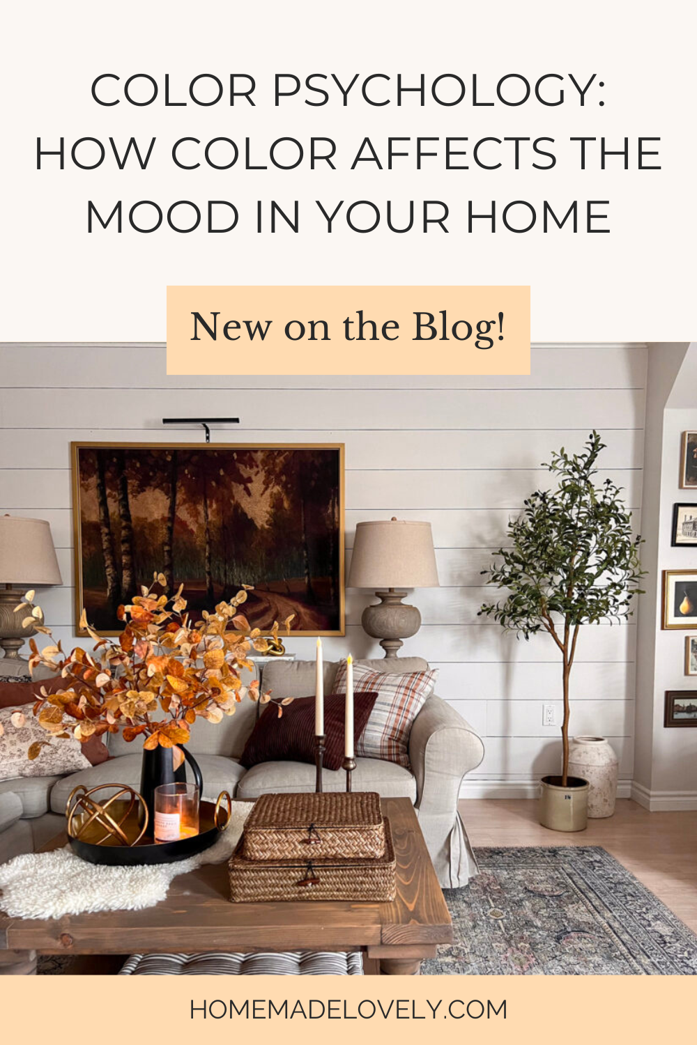 Color Psychology: How Color Affects the Mood in Your Home